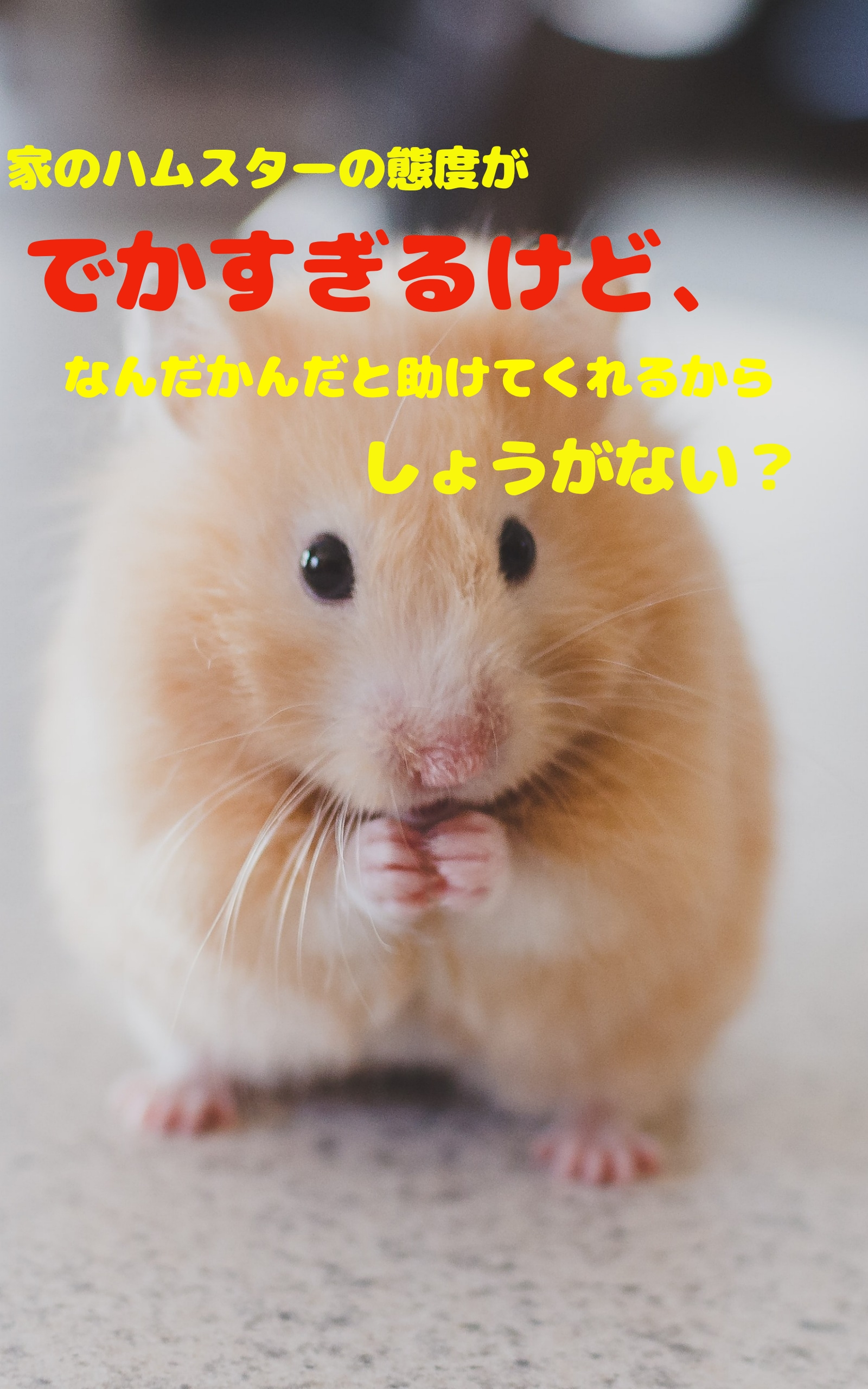 02bdce41764f5ced8f4cb561ead4783881a51027979115a9a3001d94b7ee77ab