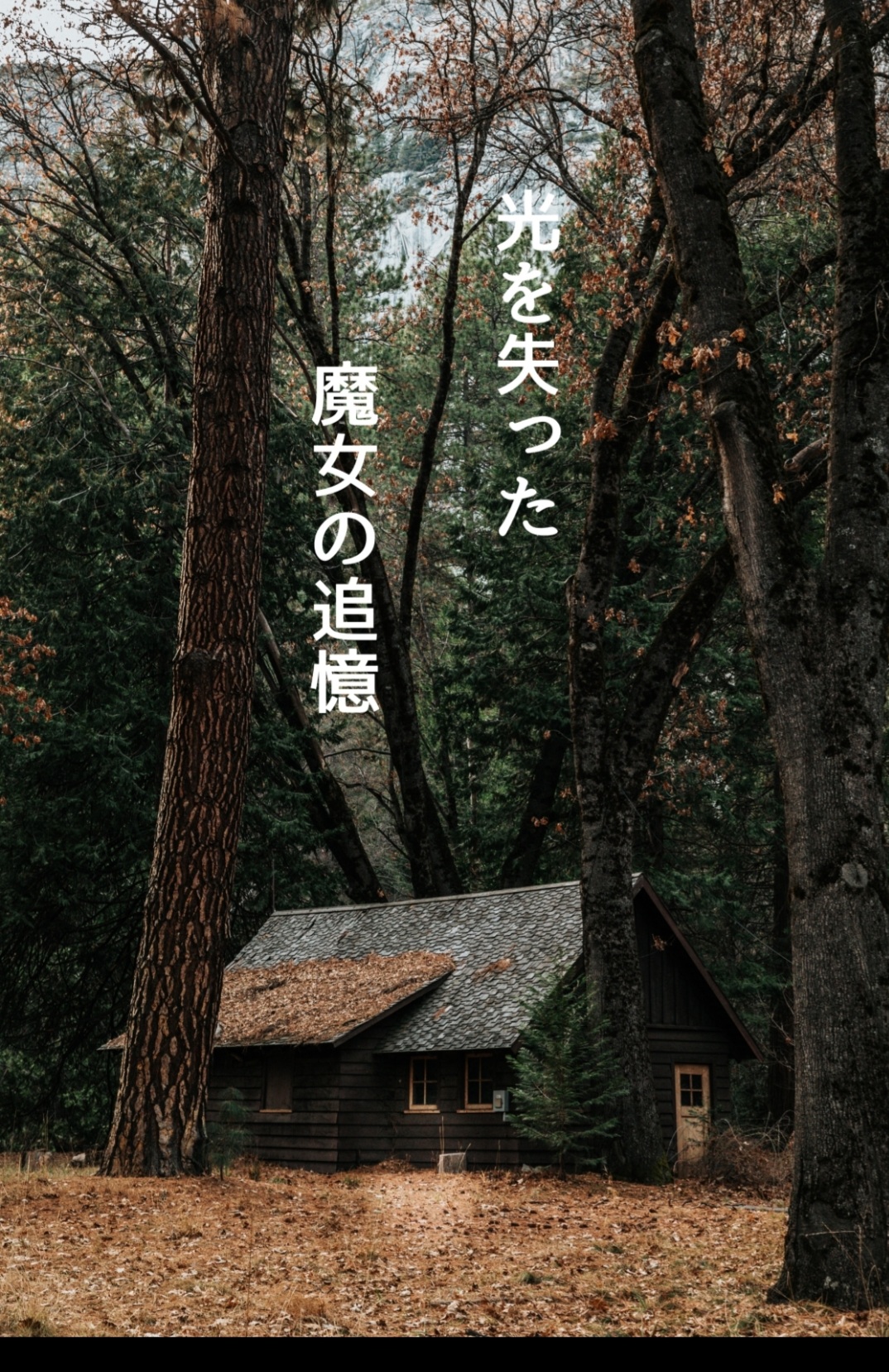 275d0e7d346da98313bae8b371b927f77da2052dc90fa9c069735b76ed57132c